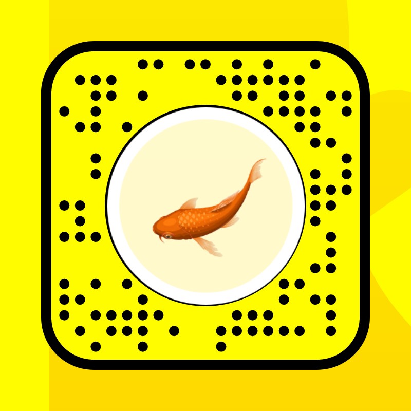 pez koi Filter by Ari 🦋 | Snapchat Lenses