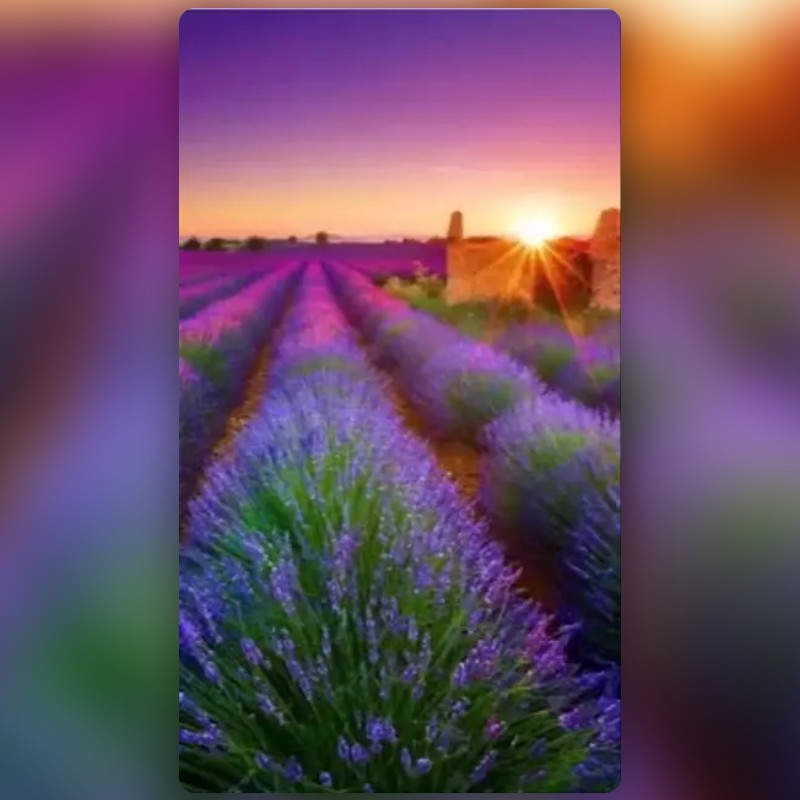 เลนส์ COLOURFULL GARDEN สร้างโดย CruzeMedia ( ਖੰਨੇ ਆਲੇ ) - เลนส์และ ...