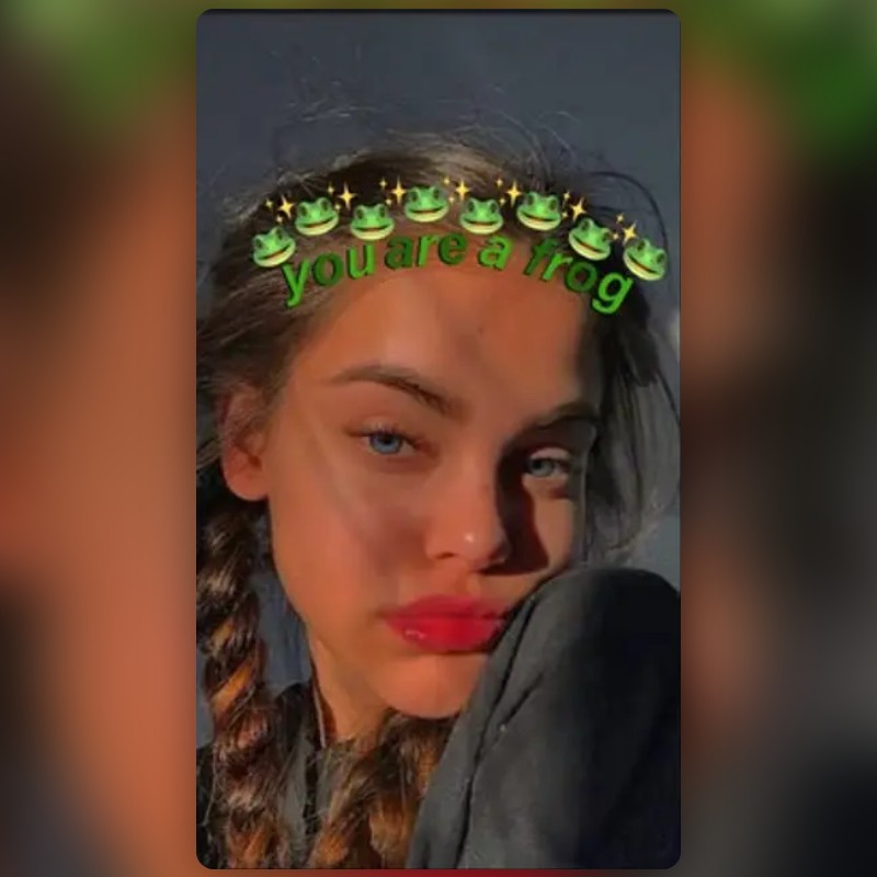 FrOg CrOwN Filter by mădălina | Snapchat Lenses