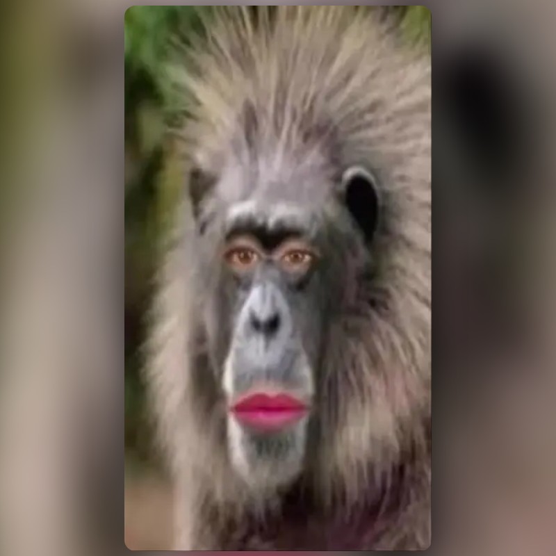 เลนส์ funny monkey สร้างโดย Luis Serra - เลนส์และฟิลเตอร์ Snapchat
