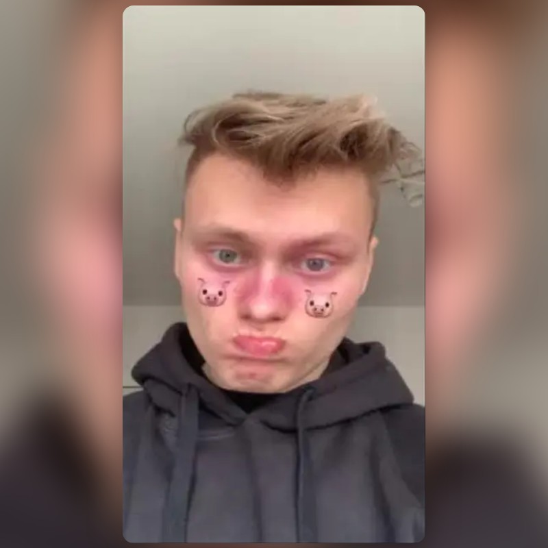cute pig Filter by Dominik Gontarski | Snapchat Lenses