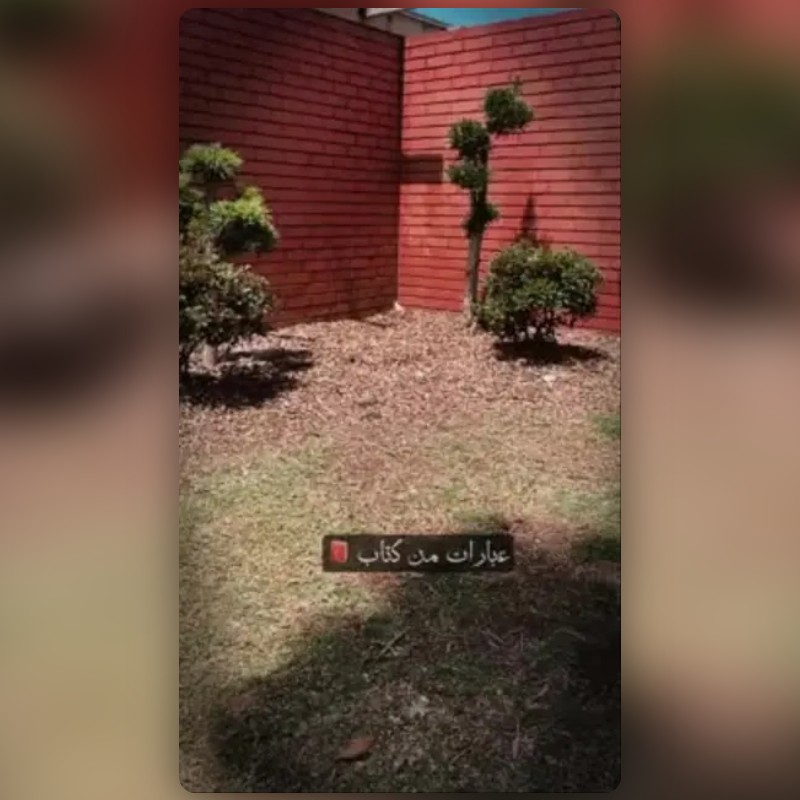 Image Randomizer Filter by فواز الخمعلي | FAWAZ | Snapchat Lenses