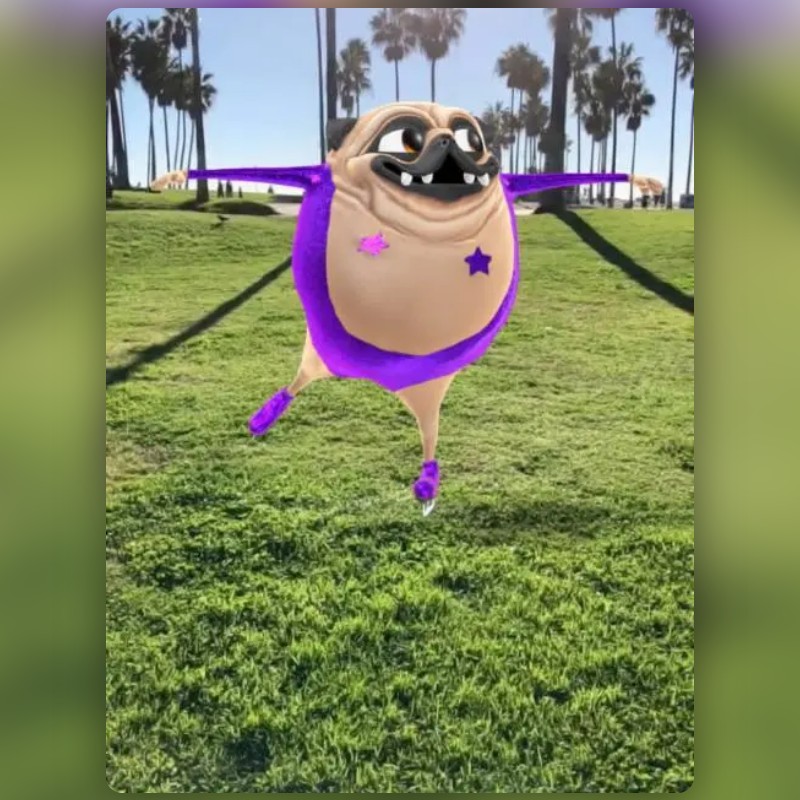 Figure Skater Pug Dog Filter by Snapchat | Snapchat Lenses