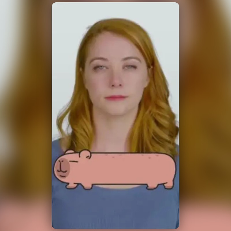 Funny Pig Filter by tobias💥 | Snapchat Lenses