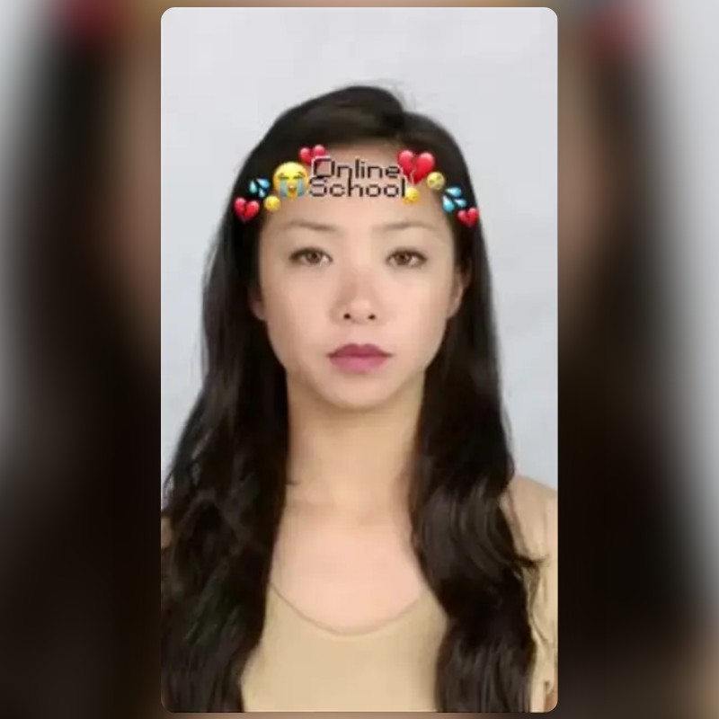 Online School Filter by Nienke | Snapchat Lenses