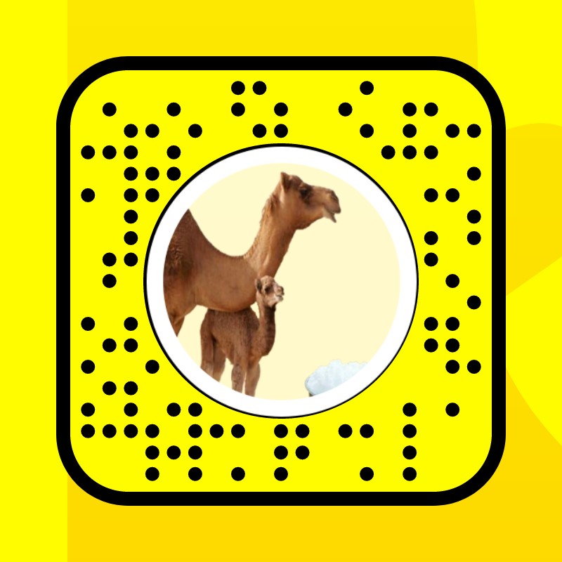 camel Lens by my kuex - Snapchat Lenses and Filters