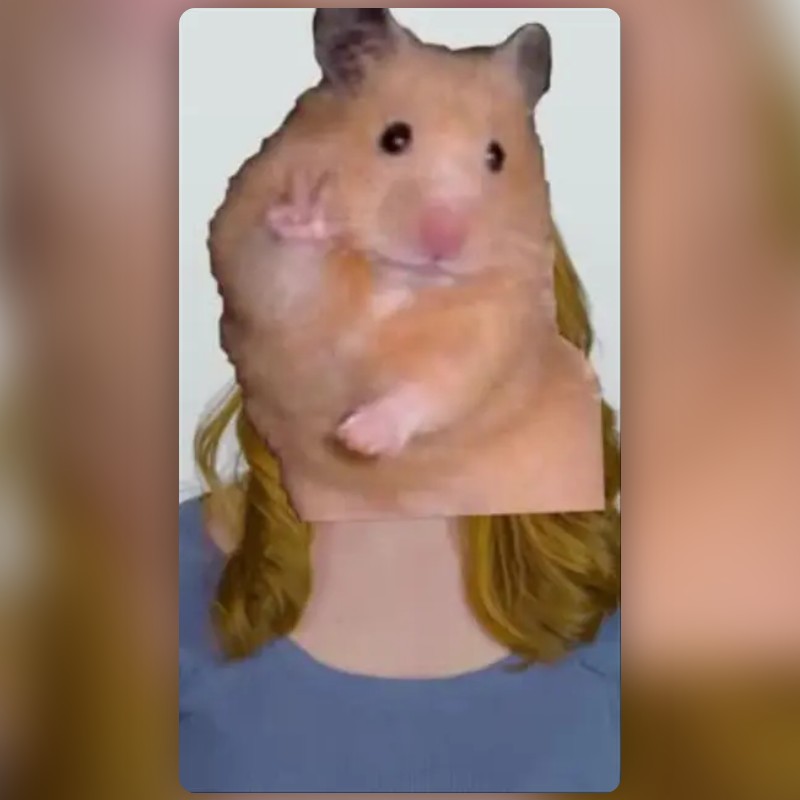 funny hamster Lens by Caroline Charles - Snapchat Lenses and Filters