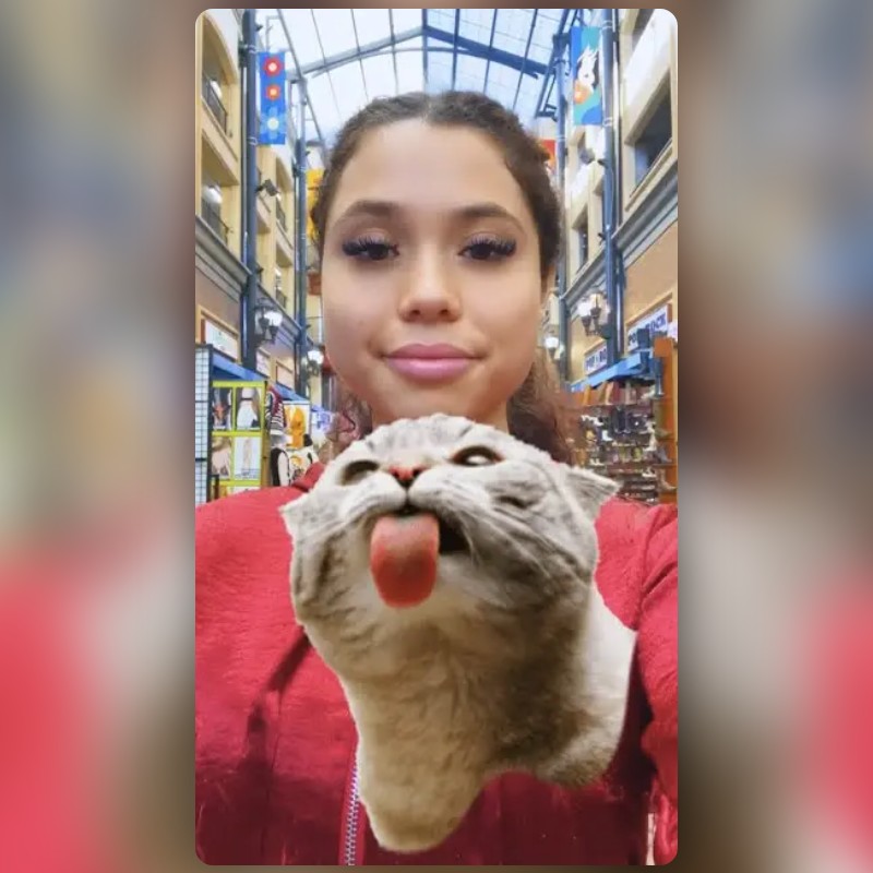 Precious Cat Lens by Snapchat - Snapchat Lenses and Filters