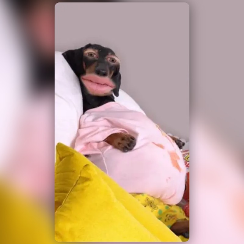 Happy Dog Lens by Snapchat - Snapchat Lenses and Filters