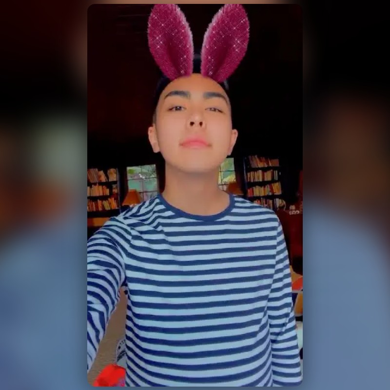 Burgundy Bunny Ears Filter by Snapchat | Snapchat Lenses