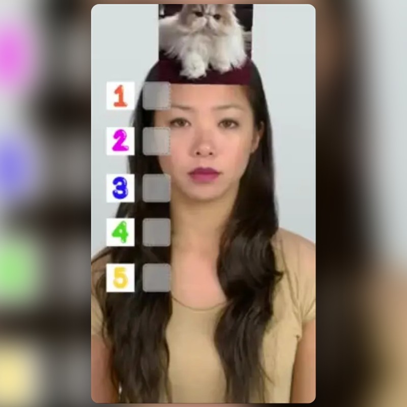 Rating Cats Lens by Nahlovingit – Snapchat Lenses and Filters