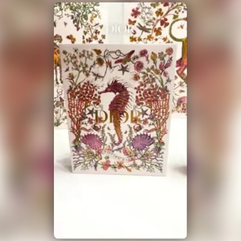 Dior Christmas Filter by Dior | Snapchat Lenses