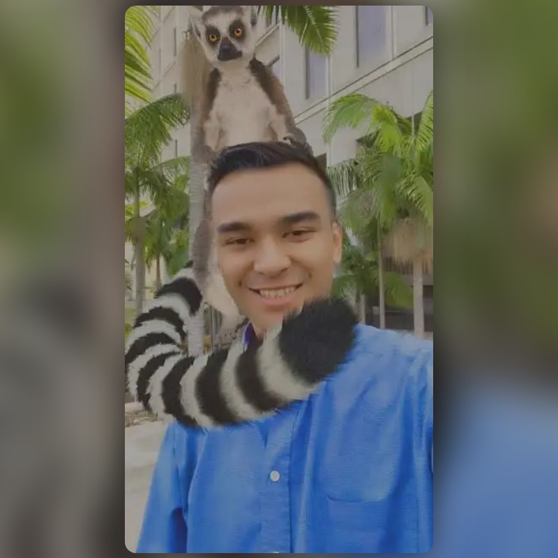 Lemur Hugs Lens by Snapchat - Snapchat Lenses and Filters