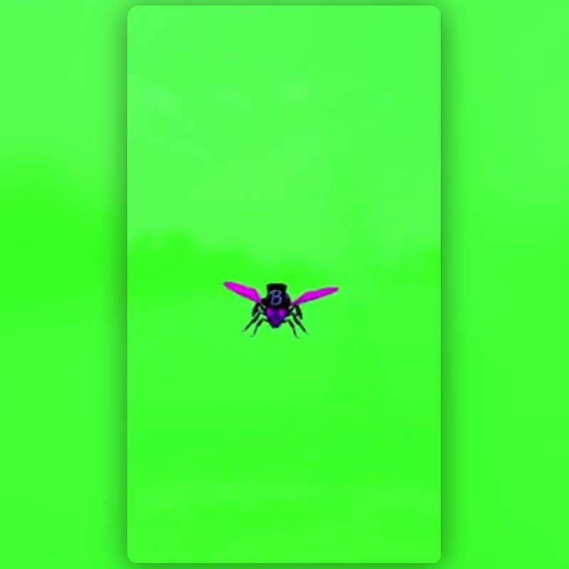 Spelling Bee Lens by Sara - Snapchat Lenses and Filters