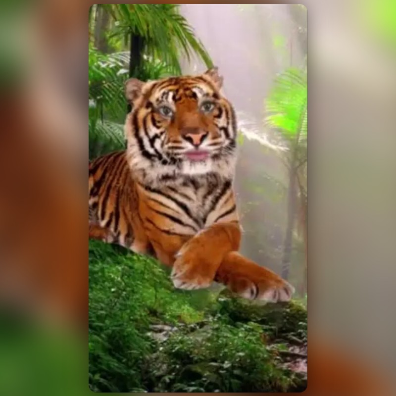 tiger Lens by Reinhard19 🦊 - Snapchat Lenses and Filters