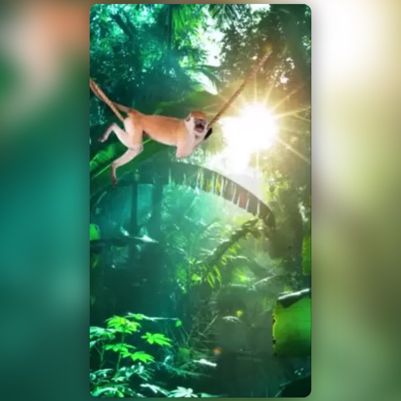 hanging monkey Filter by kevinr | Snapchat Lenses
