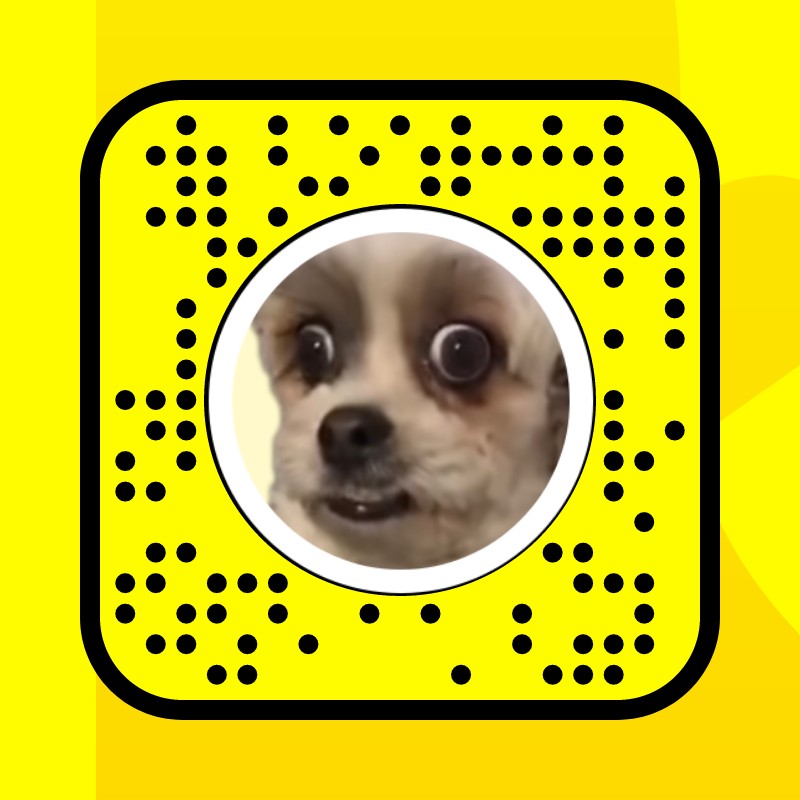 Surprised Dog Filter by Jerry | Snapchat Lenses