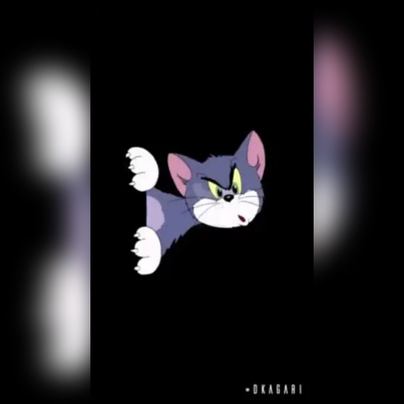 Tom Filter by Deepak Agari | Snapchat Lenses