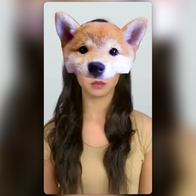 Shiba Inu Hat Filter by Danielle Grace | Snapchat Lenses