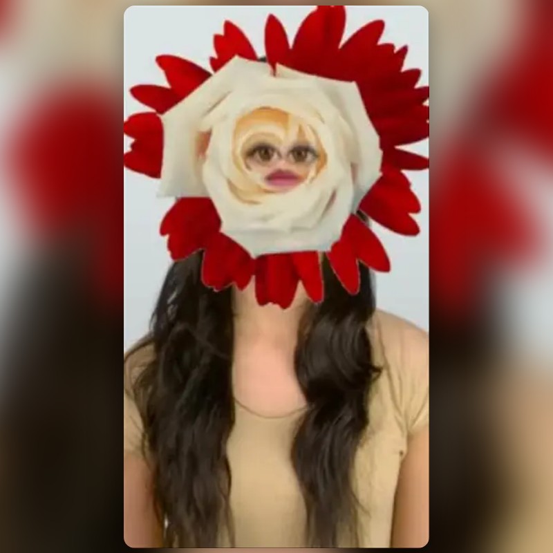 Rose Face Lens by Danielle Grace - Snapchat Lenses and Filters