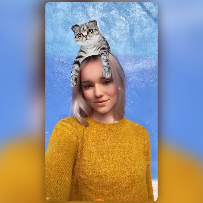 Cute Cat Lens by Snapchat - Snapchat Lenses and Filters