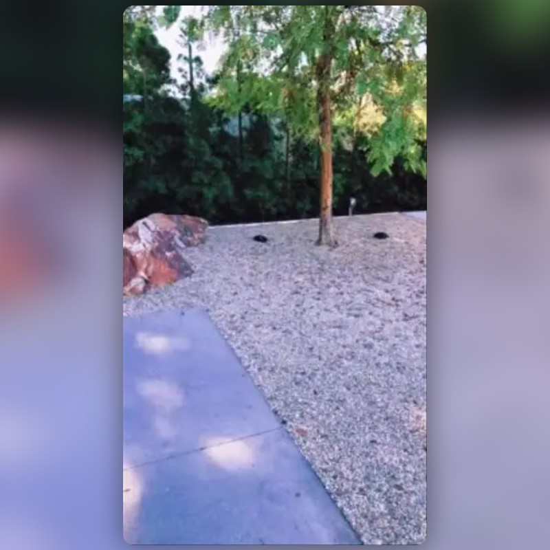 kc25 vsco filter Filter by salma | Snapchat Lenses