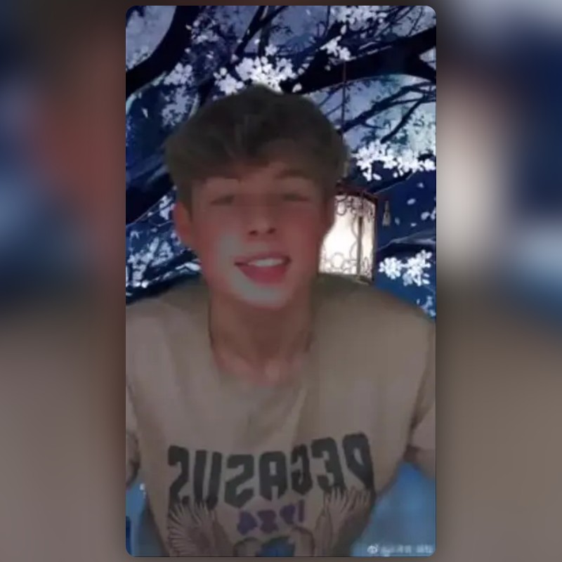 White Petals Lens by Jhanavi - Snapchat Lenses and Filters