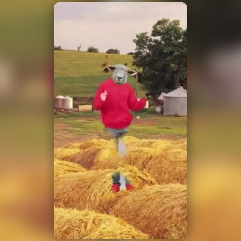 เลนส์ sheep head สร้างโดย FikaRamadhani - เลนส์และฟิลเตอร์ Snapchat