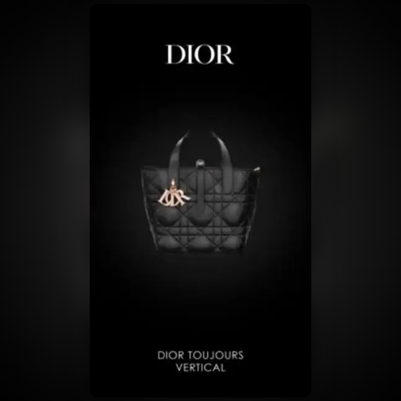 Toujours Vertical Filter by Dior | Snapchat Lenses