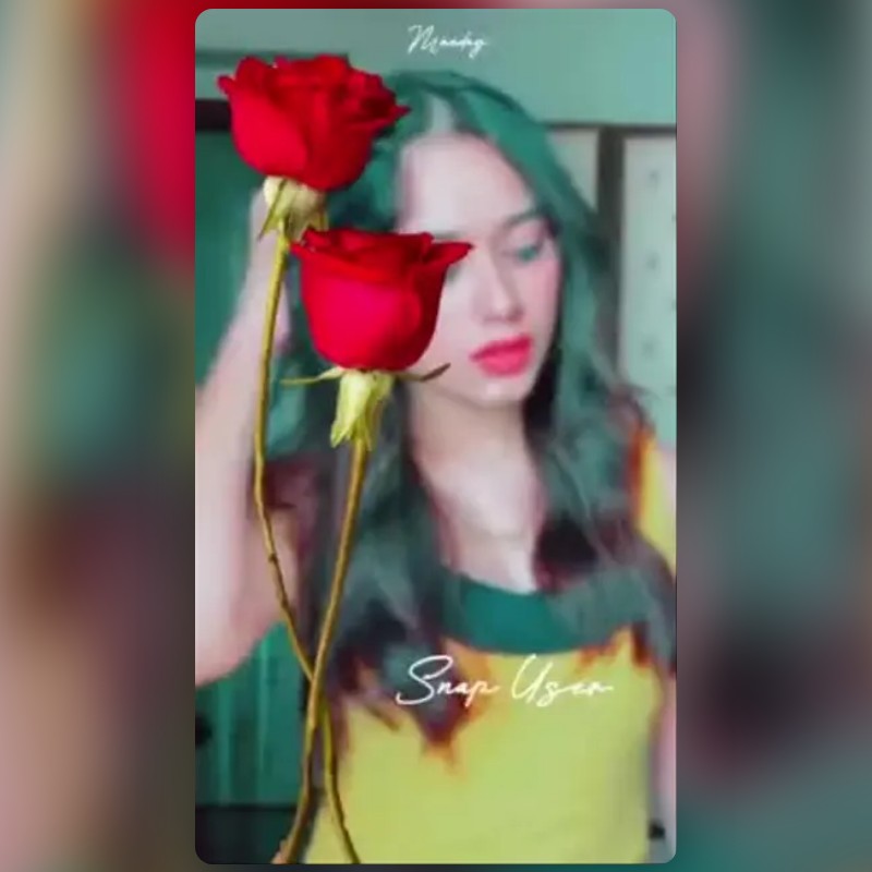 Red Rose Name Day Lens by Snapchat - Snapchat Lenses and Filters