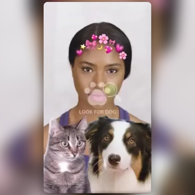 Crown for animals Lens by Nadia Jaszczołt - Snapchat Lenses and Filters