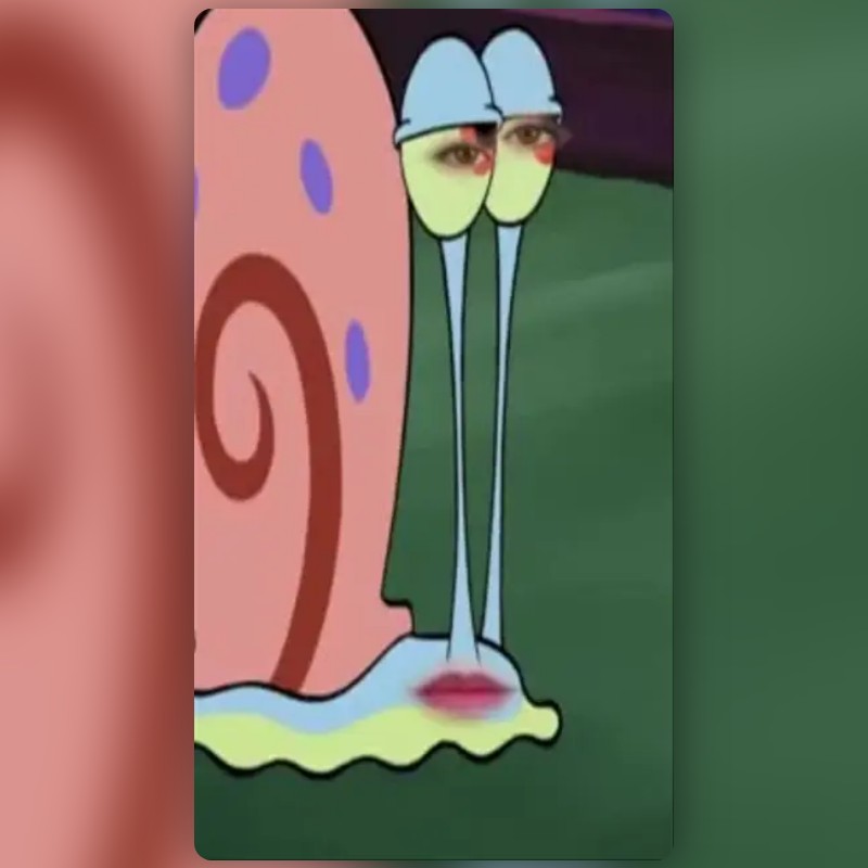 Gary SpongeBob Filter by Hans Schedel | Snapchat Lenses