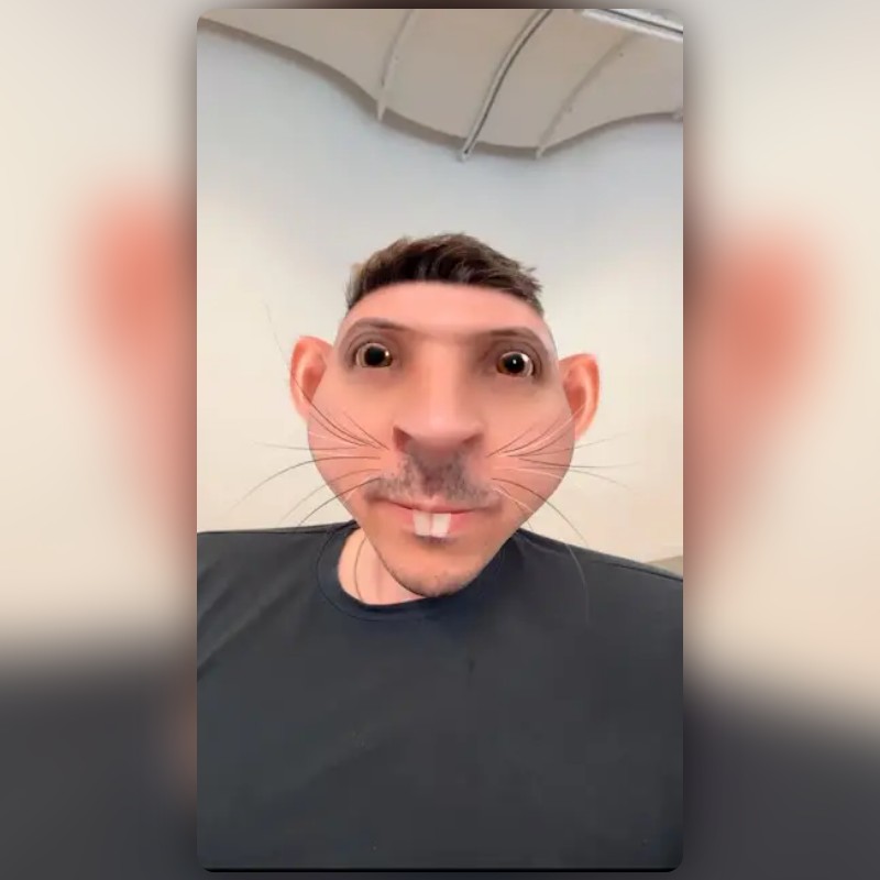 Rat Head Filter by Snapchat | Snapchat Lenses