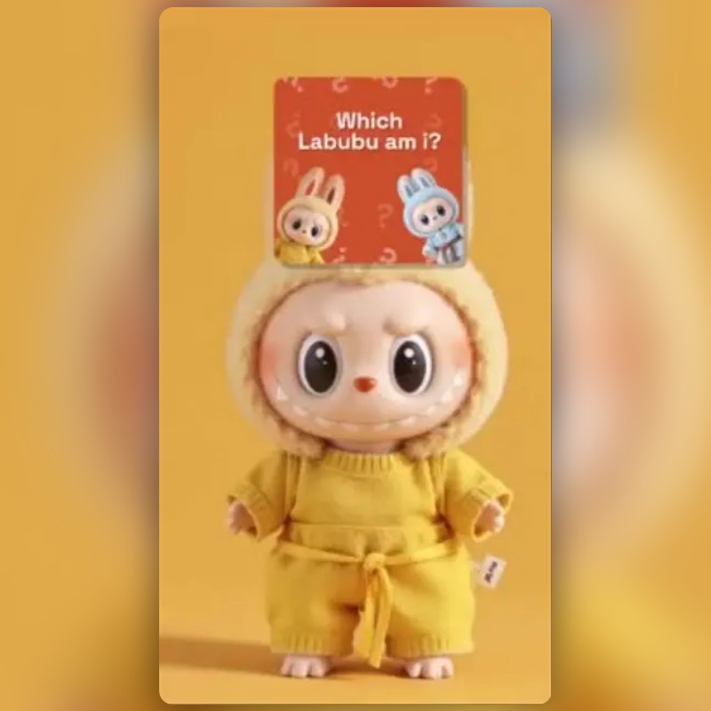 Which labubu am i? Filter by Anurag Ranjan | Snapchat Lenses