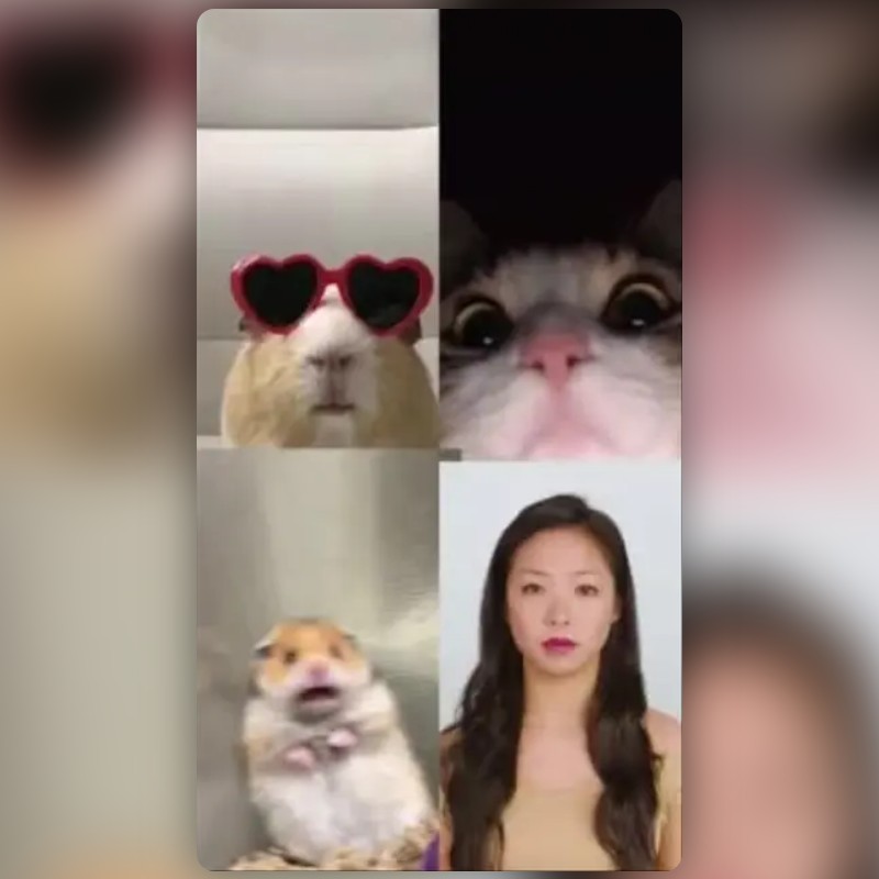 animal video call Lens by Under 25 Akansha - Snapchat Lenses and Filters