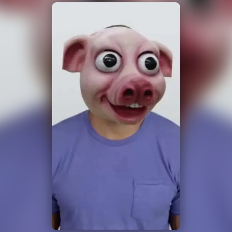 PigFace Lens by Tanisha Arora - Snapchat Lenses and Filters