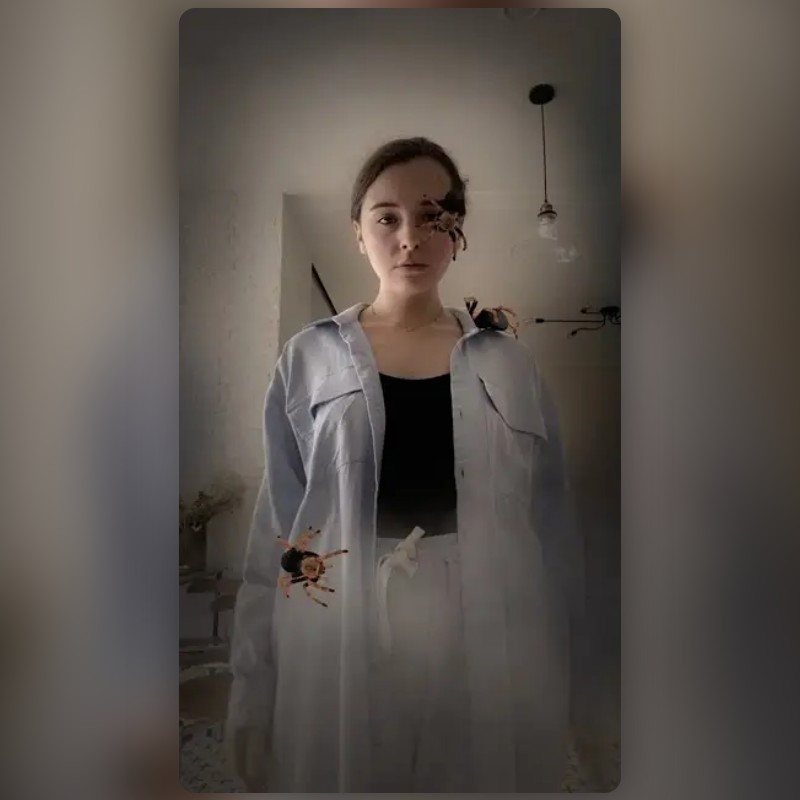 Scary Spiders Lens by Snapchat – Snapchat Lenses and Filters