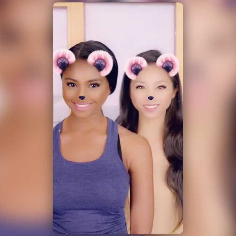 Glitter Bear Ears Filter by Snapchat | Snapchat Lenses