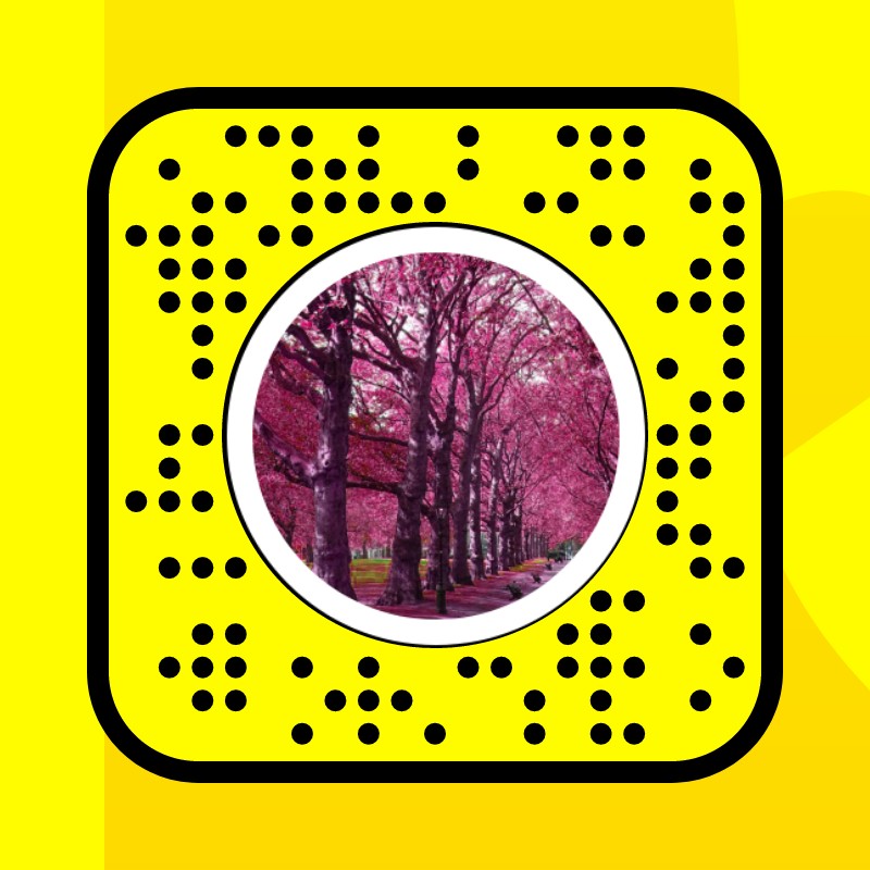 purple Filter by Nabaz Sadq Photography | Snapchat Lenses
