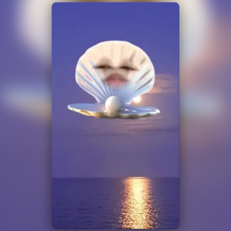 Sunset Shell Lens by Danielle Grace - Snapchat Lenses and Filters
