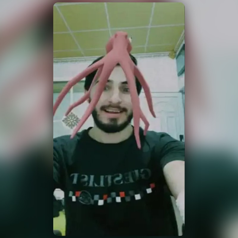 เลนส์ Octopus on my Head สร้างโดย Mohammed Sherwani - เลนส์และฟิลเตอร์ ...