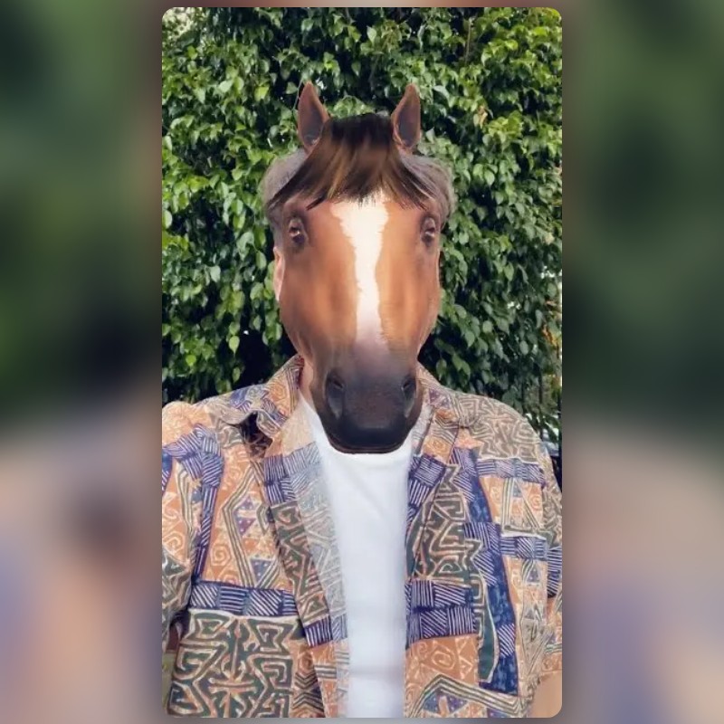 Horse Head Lens by Snapchat - Snapchat Lenses and Filters