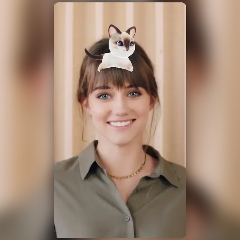 Kitten Character Filter by Snapchat | Snapchat Lenses