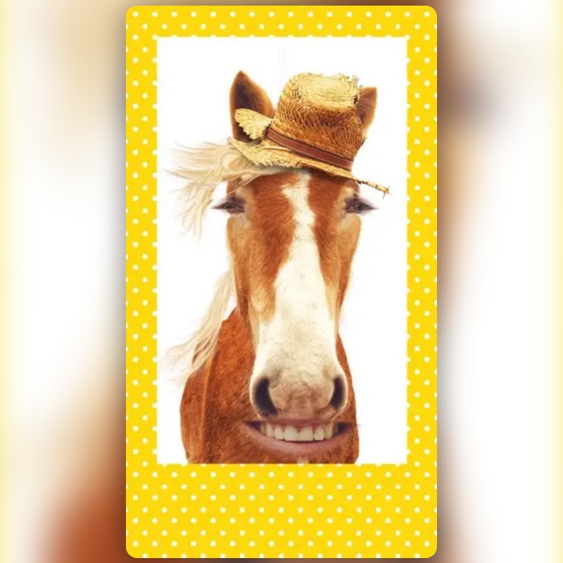 Horse Look Filter by Snapchat | Snapchat Lenses