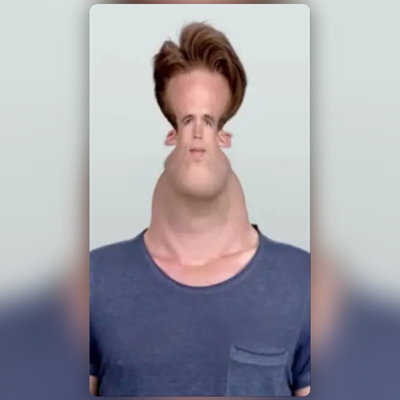 Fat face Lens by VILLADS SH - Snapchat Lenses and Filters