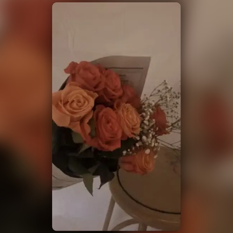 rosy dusk Filter by christina li | Snapchat Lenses