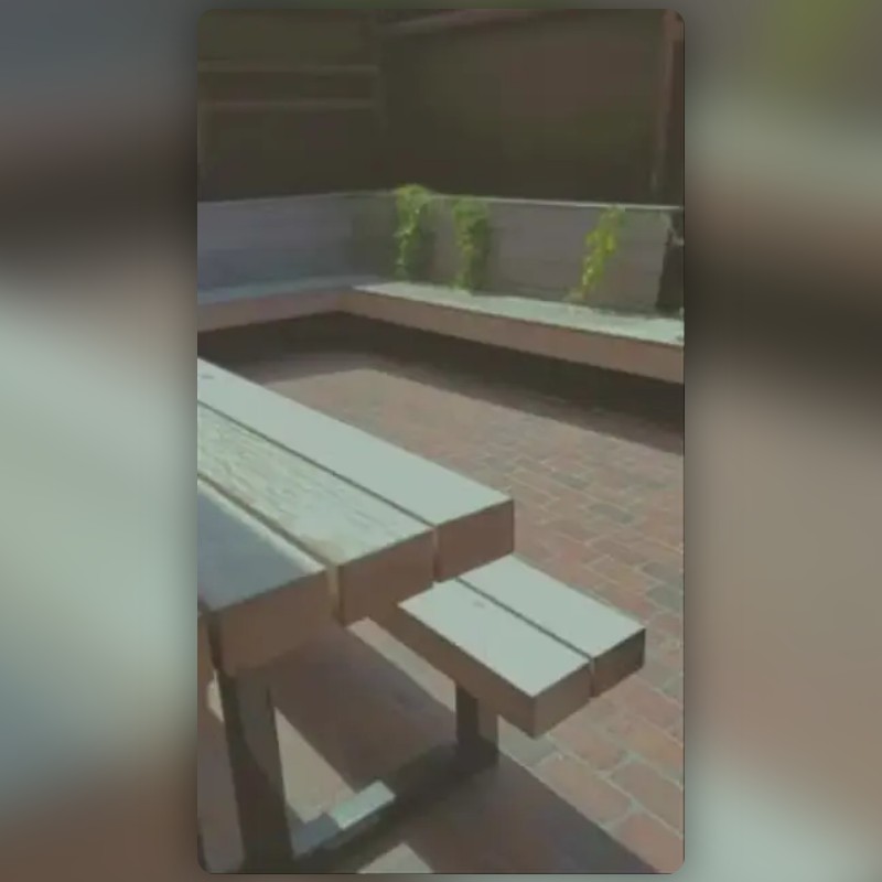 SoftGreen-v1 Lens by ZIYAD - Snapchat Lenses and Filters