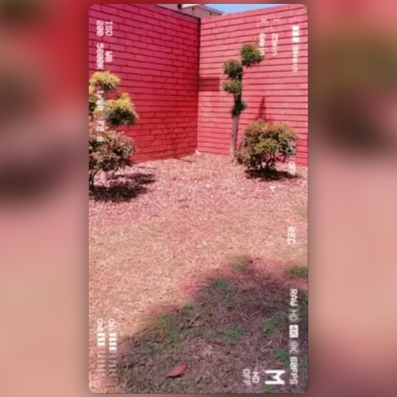 RECORDING Filter by Ashish🤍 | Snapchat Lenses