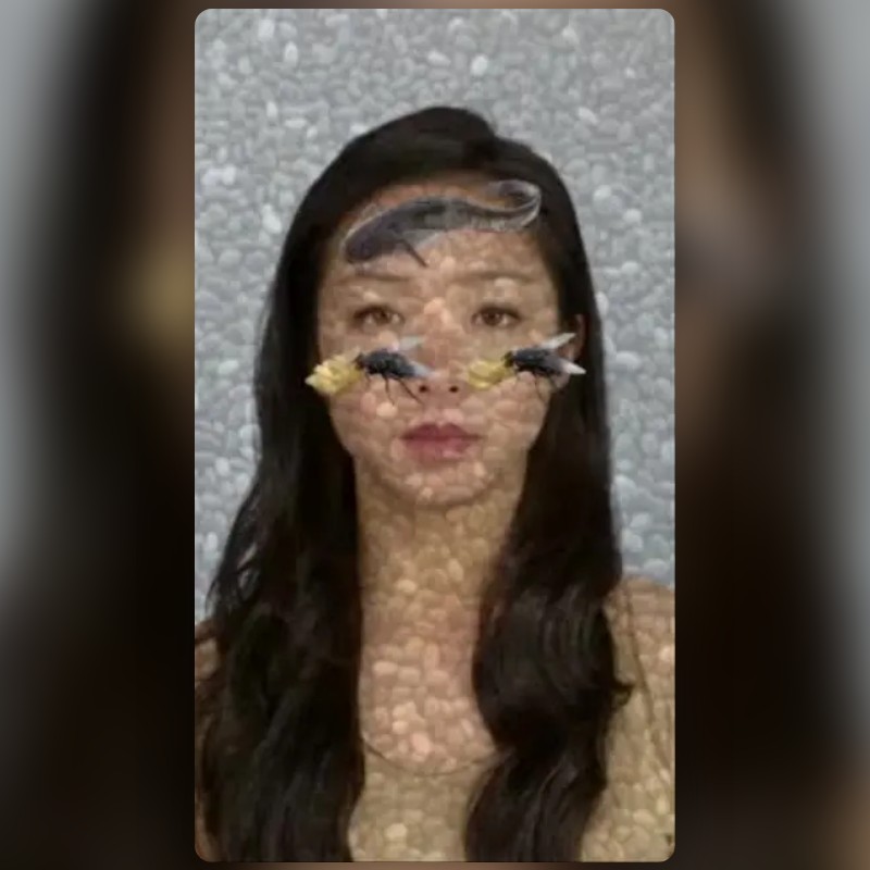 butterfly catfish Lens by Jonah Creative - Snapchat Lenses and Filters