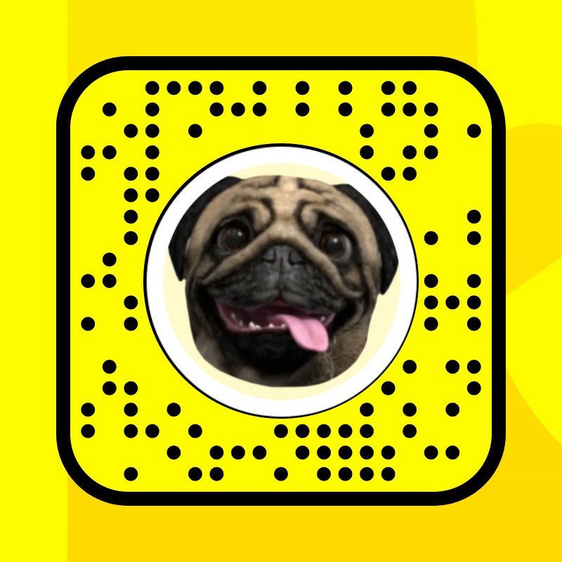Puppy Monkey Baby Lens by Devon - Snapchat Lenses and Filters